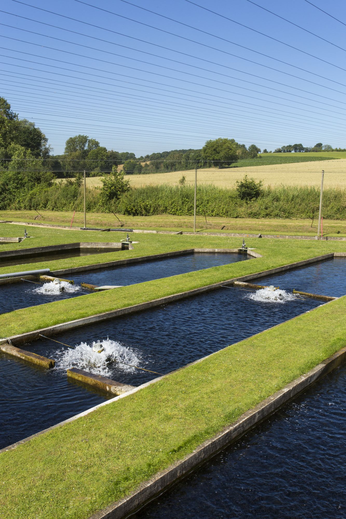 Les techniques d’élevages en eau douce - Poisson Aquaculture