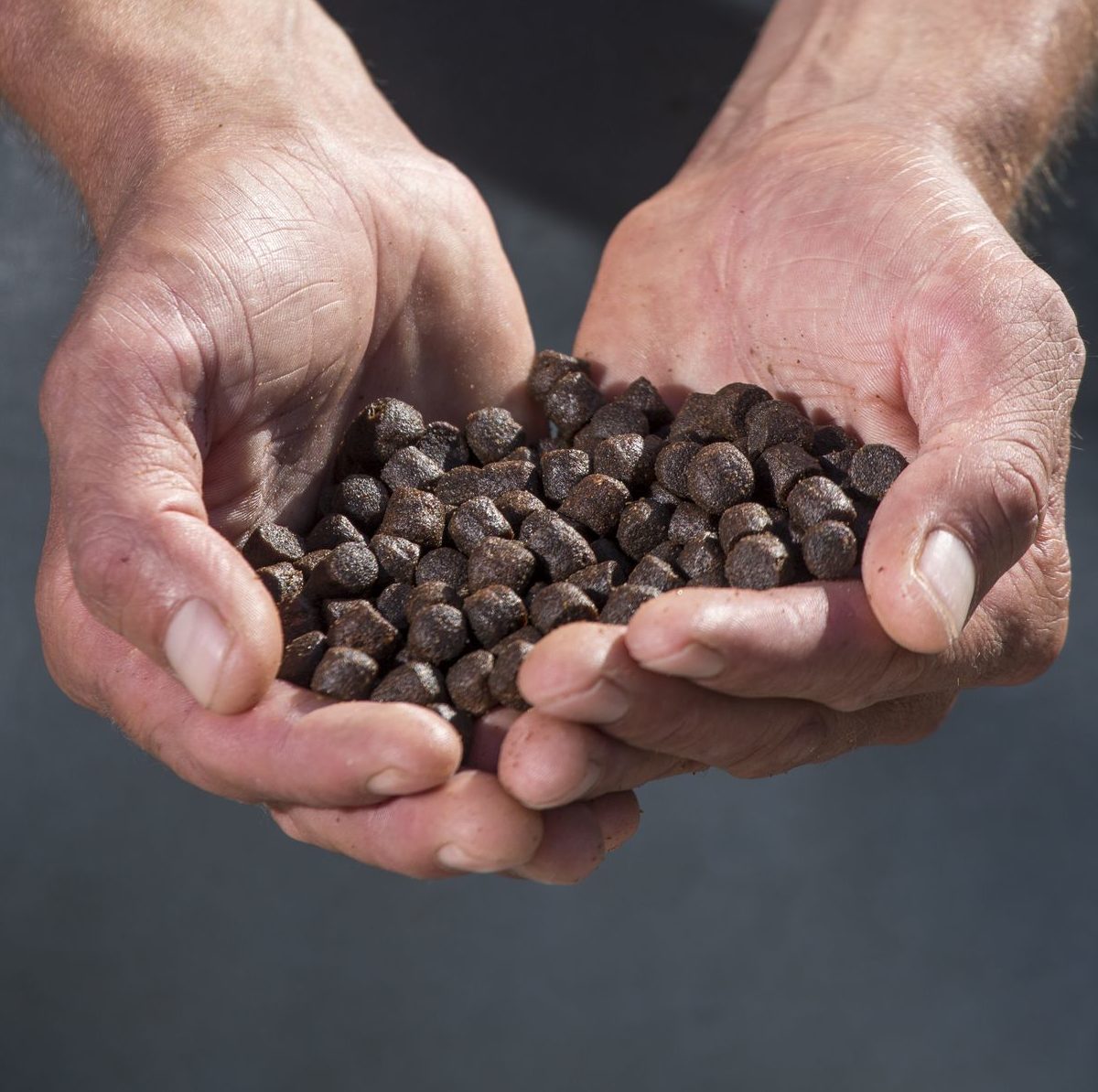 Alimentation - Poisson Aquaculture